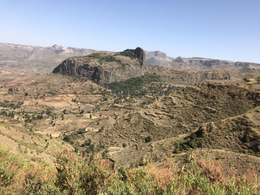 New tutorial on how to get SoilGrids data from Google Earth Engine